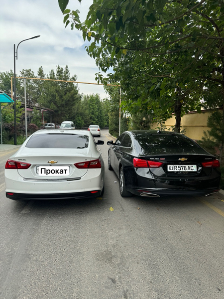 Rent uz avto ijara suxoy arenda prokat avto rent a car