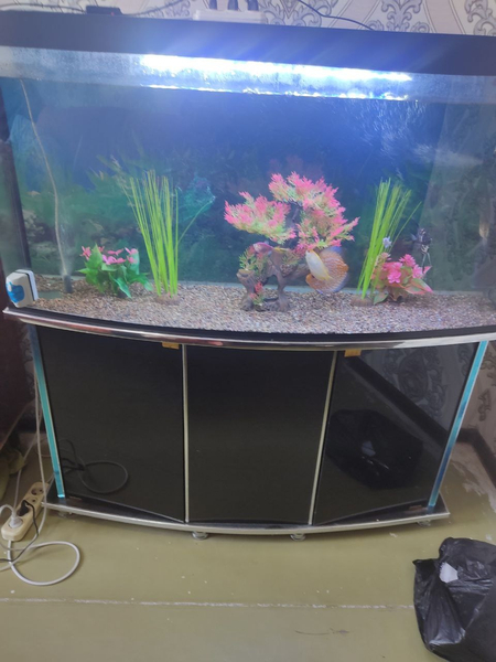 Akvarium sotiladi