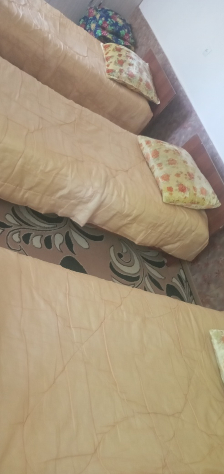 Humson_dacha_arzon