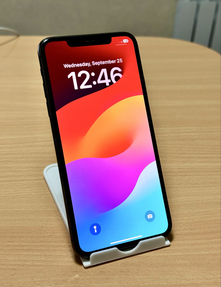 iPhone 11 Pro Max (Black) 256GB