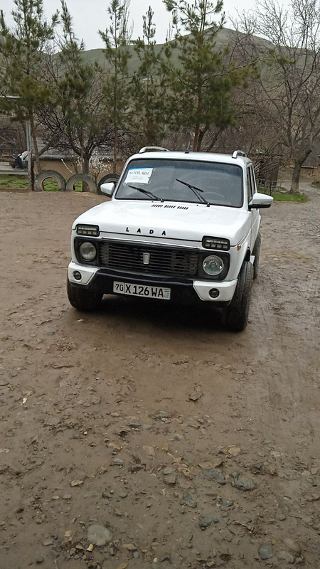 Niva moshina sotikadi
