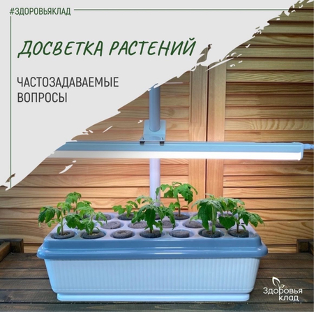Фитосветильник для расиений (фитолампа, досветка растений)