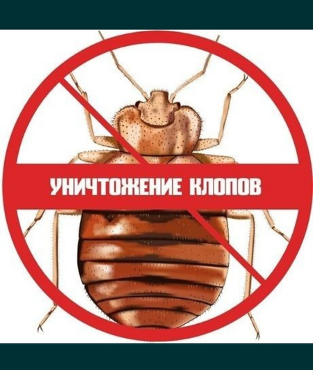 Дезинфекция. Дезинсекция. Дератизация. Обработка от COVID19. АКТ