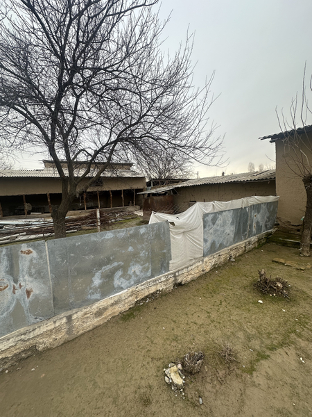 Yer nazarbek tekstil minstr dacha da 4 sotix tayor molxona si bor