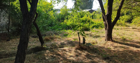 Parkentda uy sotiladi pul zarurligi uchun