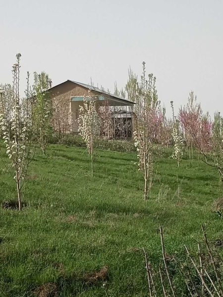 DACHA BOG`Уй жой боғ 70 сотх 400  туп вояга етган мевали дарахтлари