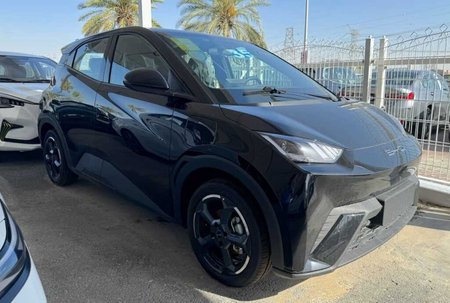 Byd Seagull EV 405
