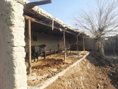 Бино сотилади баржа кулайликлари билан