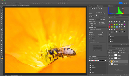 Adobe Photoshop 2023/ Бессрочная активация