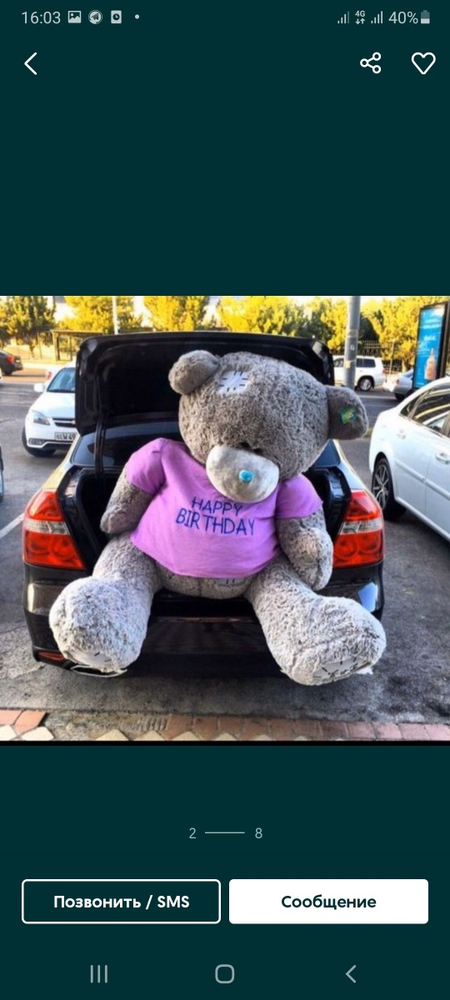 Teddy 100% orginal