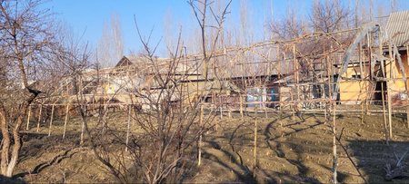 Karkaz-teplisa-parnik-issiqxona