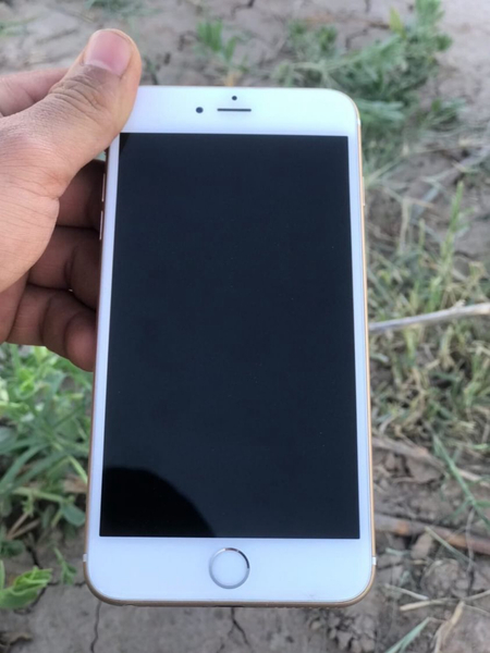Iphone 6 plus yomksti 84% gold rang xotirasi 16 gb RU/A karobkasi bor