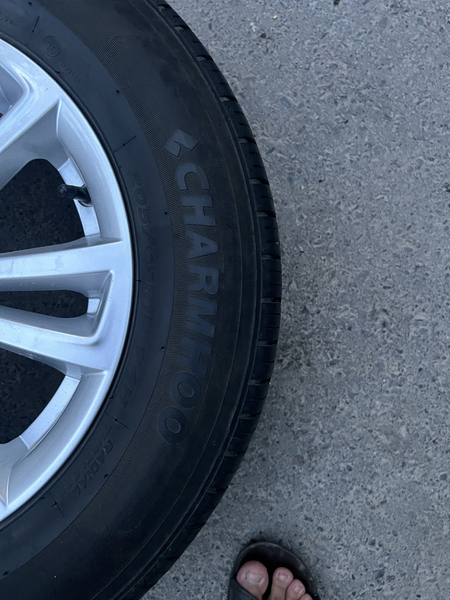 R15 Cobalt deska balon Gm Arginal