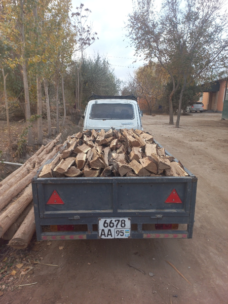 Quruq jiyda õtinlar