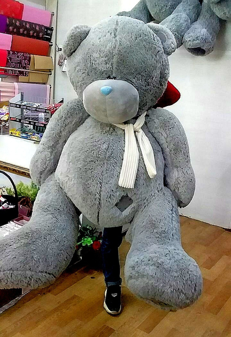 Teddy Teddi 1+1 Eng Arzon Narxlarda
