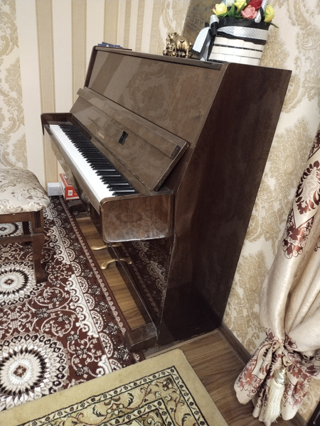 Pianino. Holati zõr. Yangiyõl