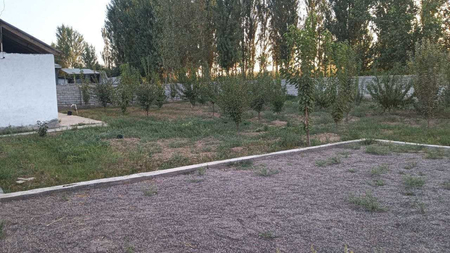 Участок в Паркенте 8 соток