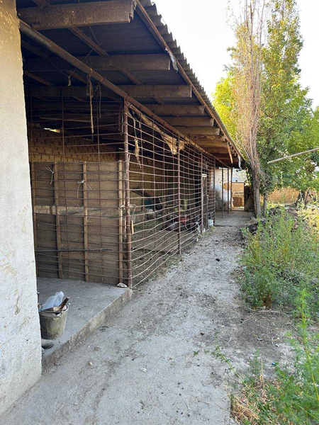 Teplica sotiladi quruq yer bilan / Теплица продается с землей 243сотых