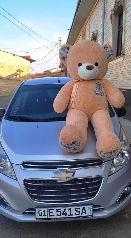 Teddy va boshqa yumshoq oʻyinchoqlar
