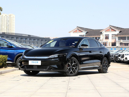 Gonzo Motors - BYD Han Champion