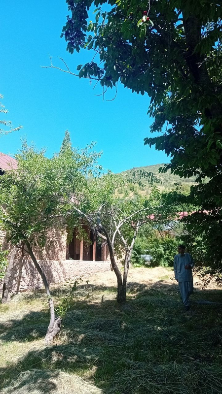 Dala hovli uchun yer SOTILADI.