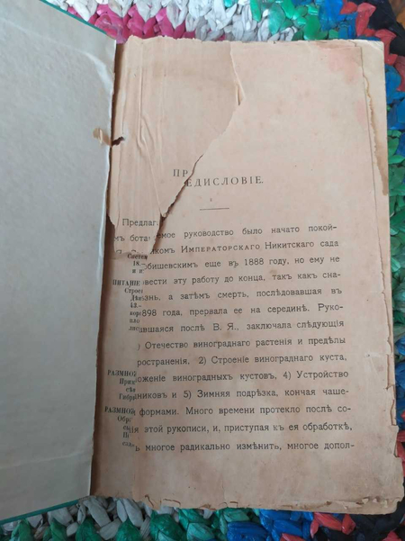 Книга о винограднике. Выпуск конец 1800  начала 1900 года.
