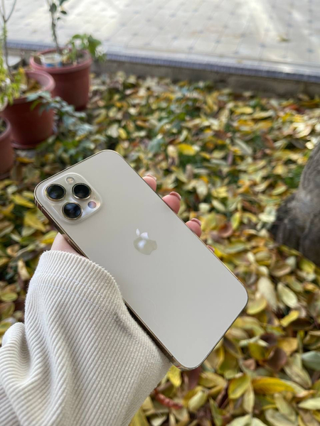 Iphone 12 pro max 256 gb