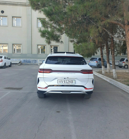 BYD CHEMPION 605 KM. 2024. Краска тоза.