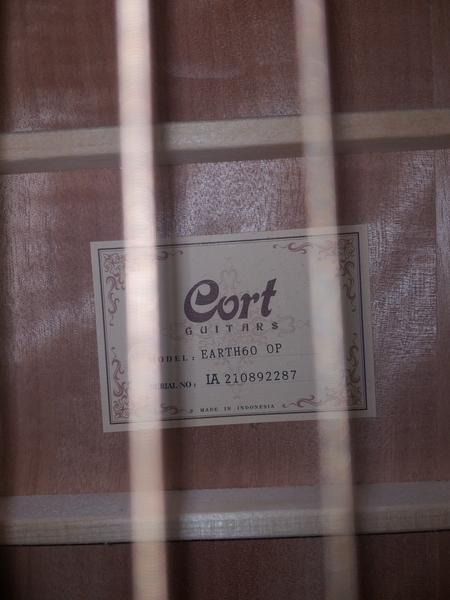 Cort Earth 60 (Гитара из Массива)