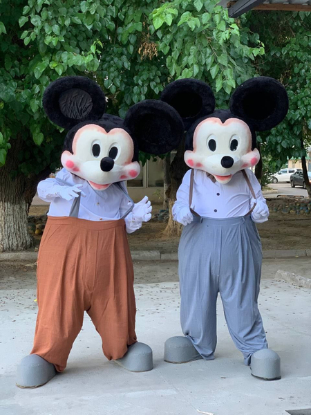 Panda mikimaus sher srochna sotiladi