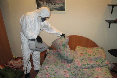 Dezinfeksiya xizmati Служба уничтожение насекомых Дезинфекция Ташкент