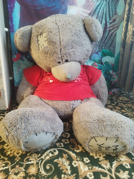Teddy o'yinchoq ayiq