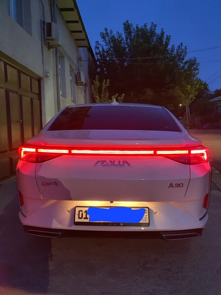 Dongfen Aeolus A30