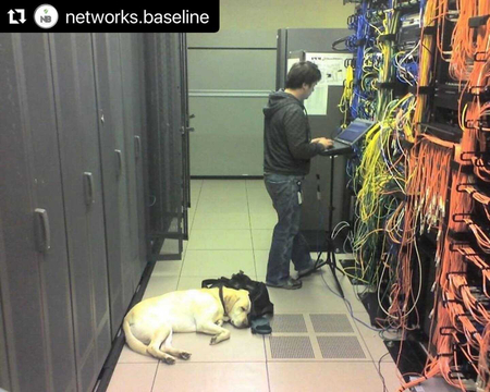 IT-консультант, удалённый помощник по сервер и сетевым вопросам.