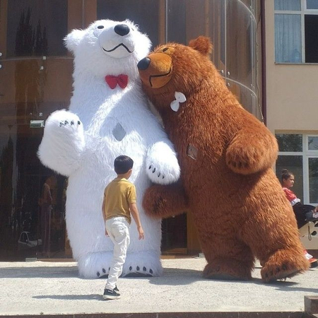 Ayiqchalar xizmati