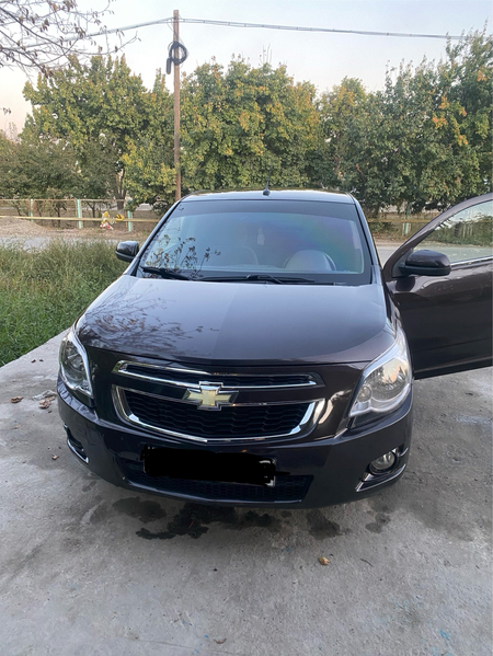 Cobalt LTZ 2019 Coko