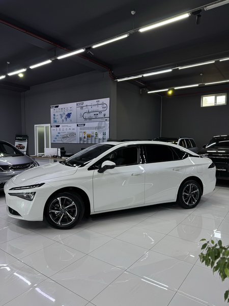 Gac aion s max ev