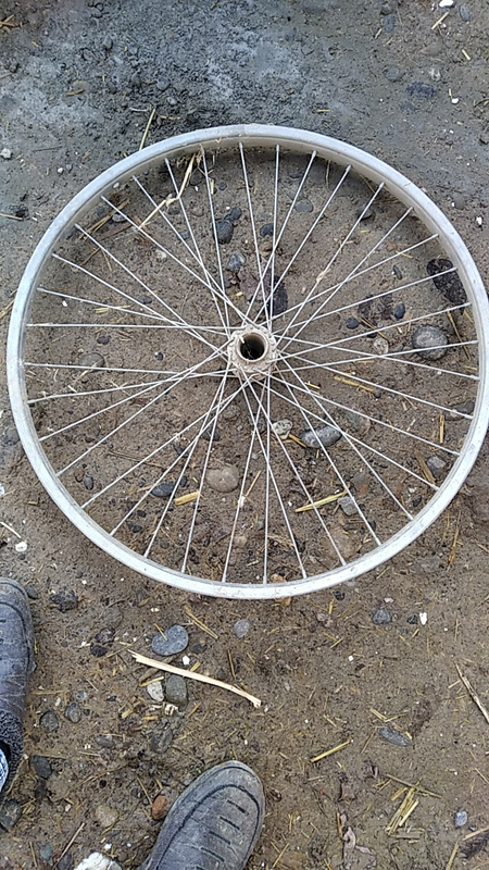 Velosiped diskasi 26