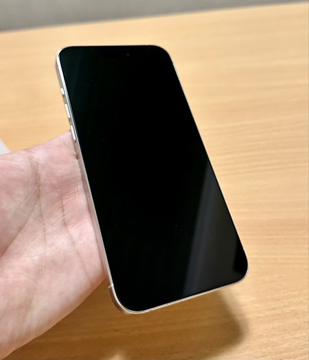 iPhone 15 Pro Max(Titanium White) 256GB