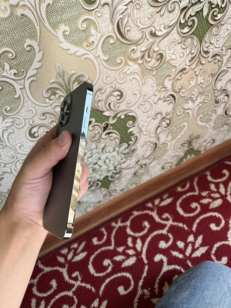 Iphone 12 pro max LL/A