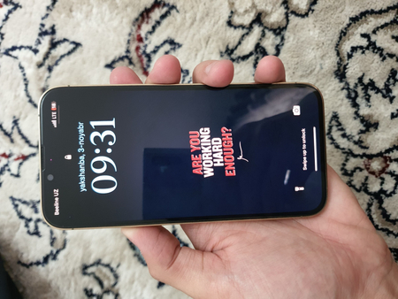 iPhone 13 Pro LLA 128