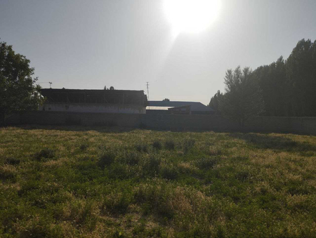 Земля в Чиназе (16 соток), махалла Пахтаобод
