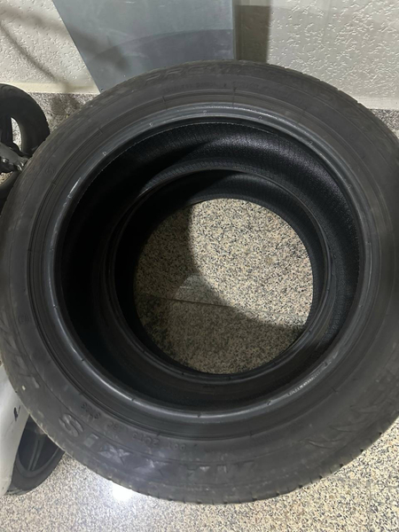 Onex zavod baloni 3 000km yurgan 2 dona