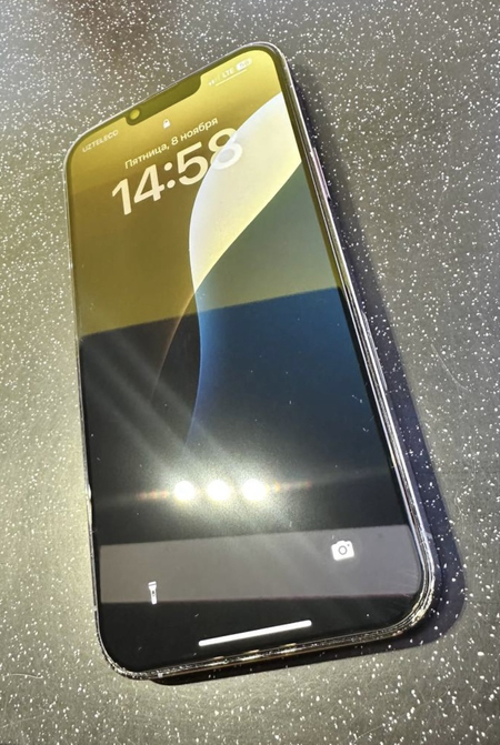 iPhone 13 Pro Max