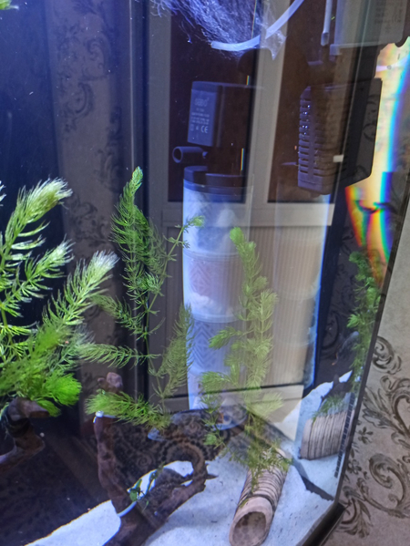 Akvarium sotiladi