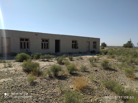 Ferma qurish va ishlab chiqarishga moʻljallangan yer sotiladi