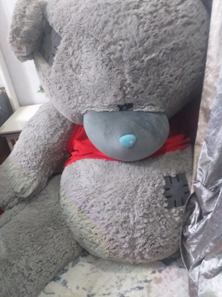 Teddy ayiq Тедди айик