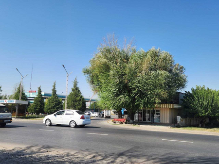 Srochno Uy Sotiladi, So\\\'tixi  10 000$