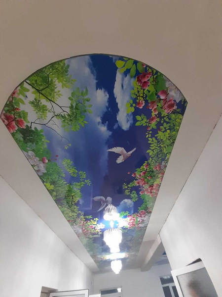 Натяжной потолок