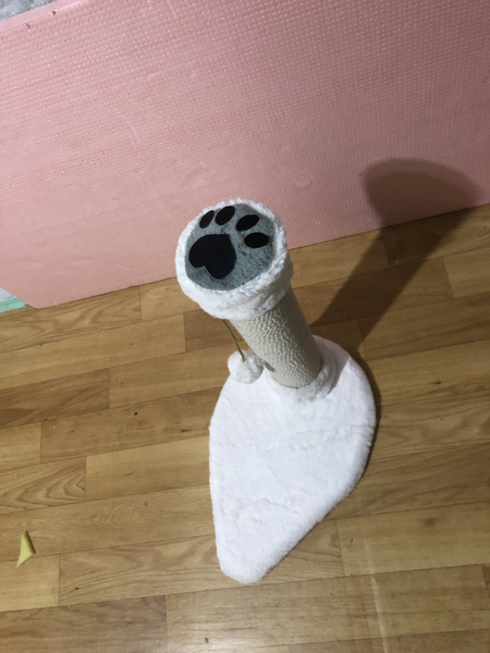 Когтеточка